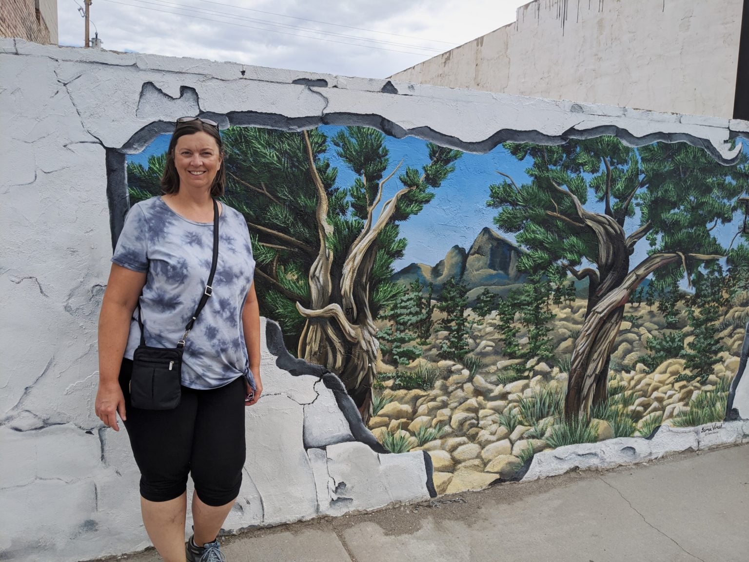 10 Fun Things to Do in Ely, Nevada - Tips For Family Trips